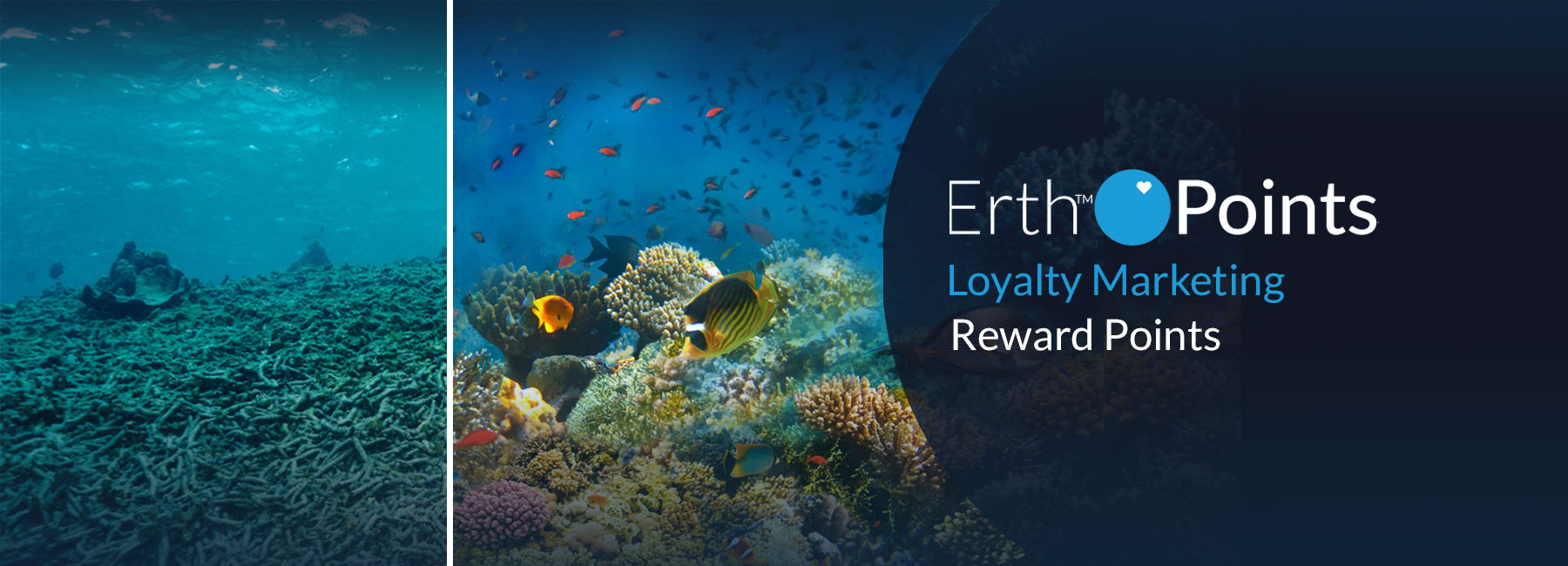 Rewards4Earth - Rewards4Earth